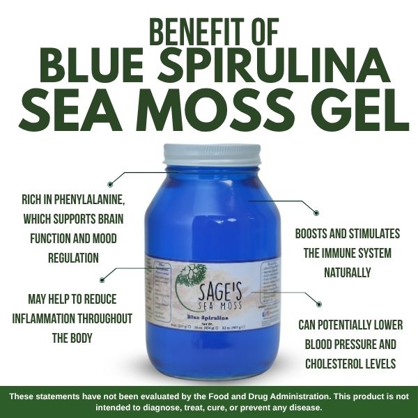 Blue Spirulina Sea Moss Gel – Sage's Sea Moss